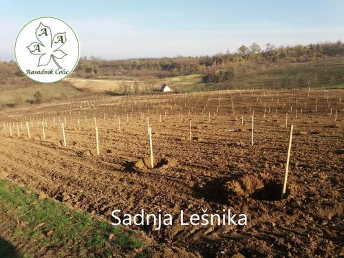 Kako podići kvalitetan Voćnjak i Vinograd ?