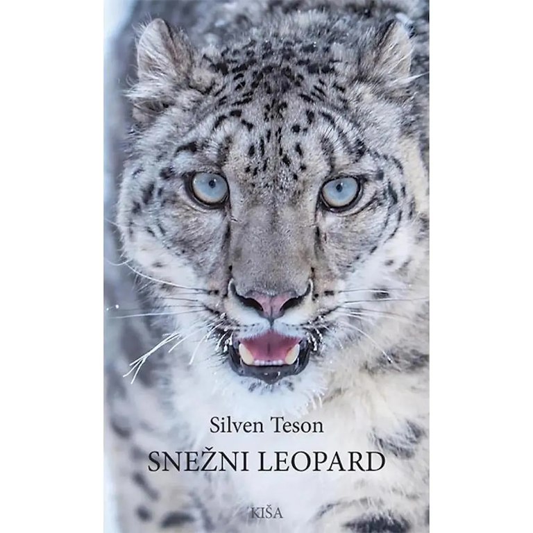 SNEŽNI LEOPARD