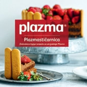 PLAZMASTIČARNICA - grupa autora