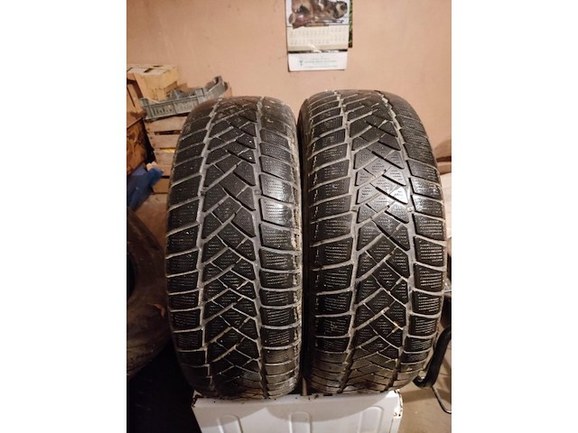 Dunlop 235/65 R17 M+s 2 kom.