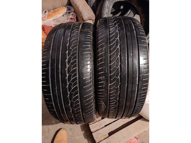 Nankang AS-1 225/45 R17 2 komada