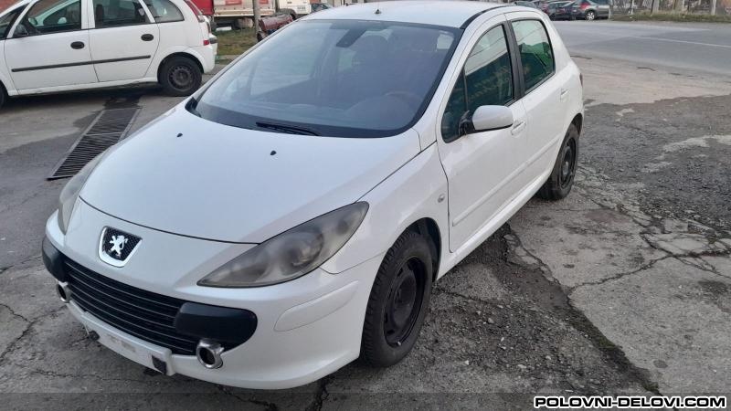 Peugeot 307 Kompletan Auto U Delovima