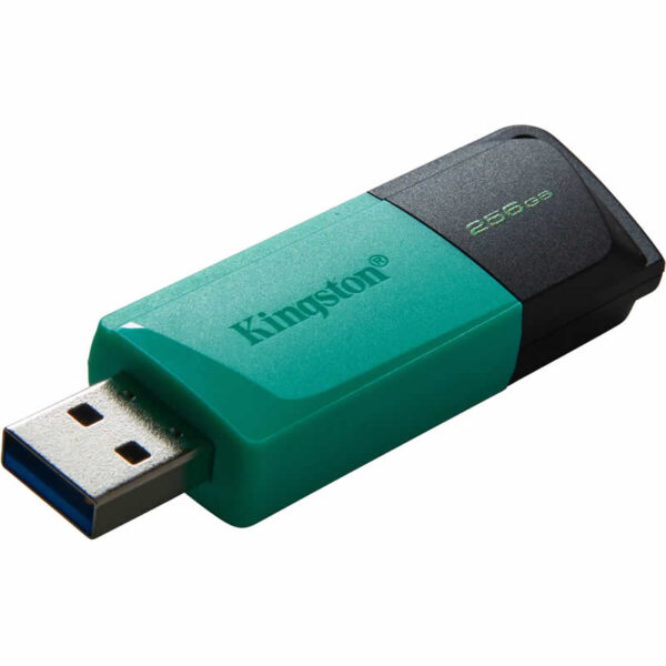 KINGSTON USB FLASH 256 3.2