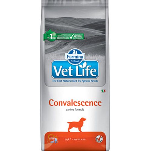 Vet Life Dog Convalescence 2 kg