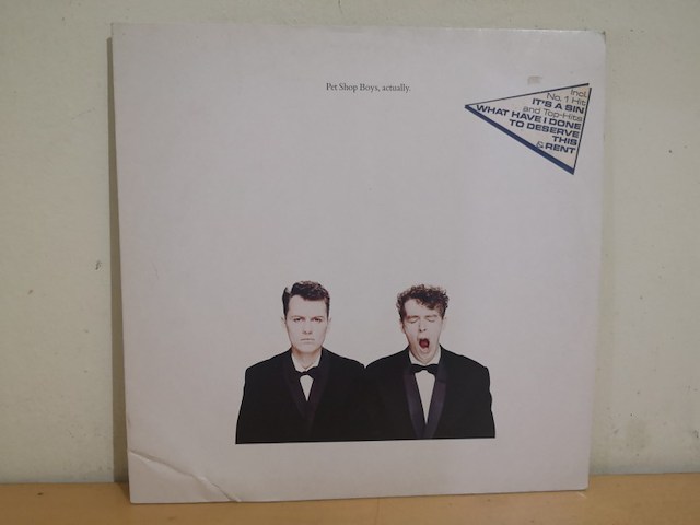 Pet Shop Boys: Actually