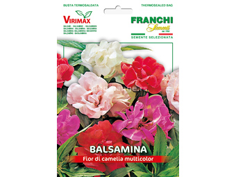 Seme za cveće Blazamina kamelija mešavina 5 kesica Franchi Sementi Virimax
