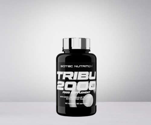 TRIBU 2000