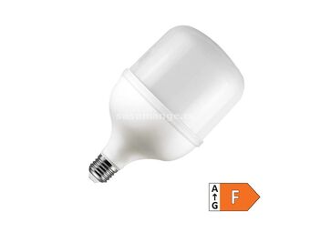 LED sijalica hladno bela 25W Prosto LS-T100-E27/25-CW