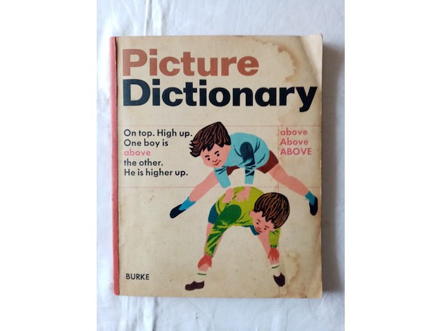 Picture Dictionary