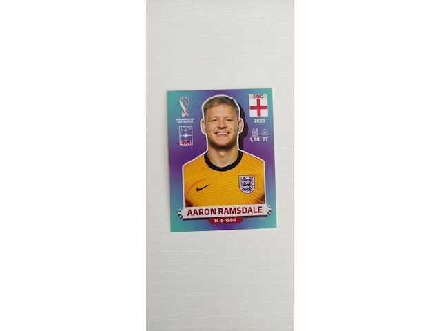 Panini FIFA 2022 international Qatar ENG04