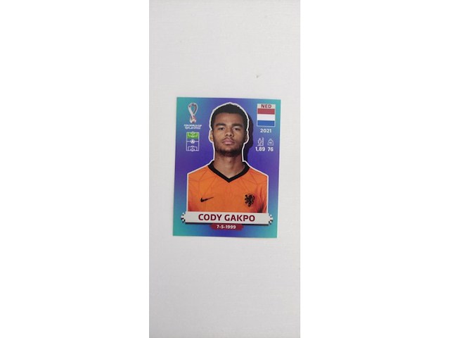 Panini FIFA 2022 international Qatar NED19