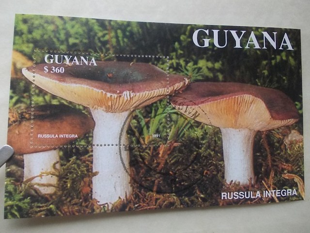 GUYANA 1991 BLOK