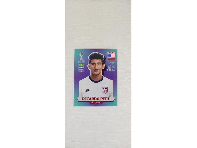 Panini FIFA 2022 international Qatar USA17