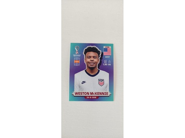 Panini FIFA 2022 international Qatar USA14