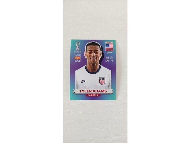 Panini FIFA 2022 international Qatar USA13