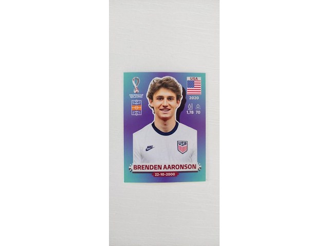 Panini FIFA 2022 international Qatar USA11