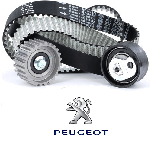 Veliki servis Peugeot 208 1.4 HDI