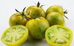 Green Zebra paradajz (seme) stara sorta!