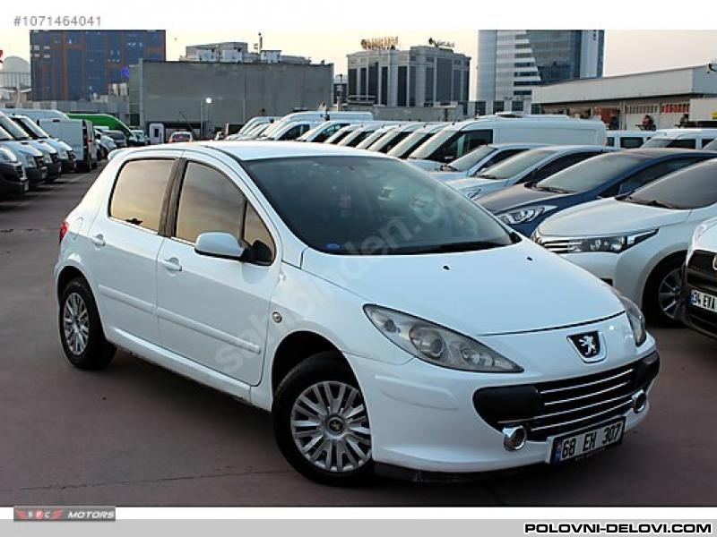 Peugeot 307 Benzin Dizel Kompletan Auto U Delovima