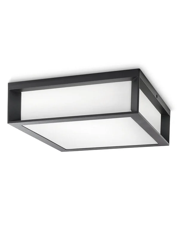 Philips PH066 spoljašnja zidna - plafonska svetiljka Skies max 2x42W 230V antracit