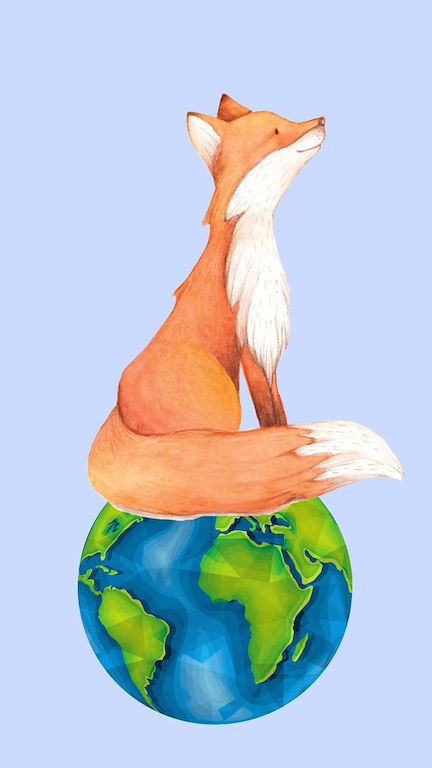 Fox on Earth