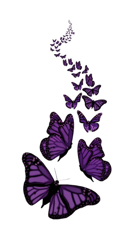 Butterflies purple