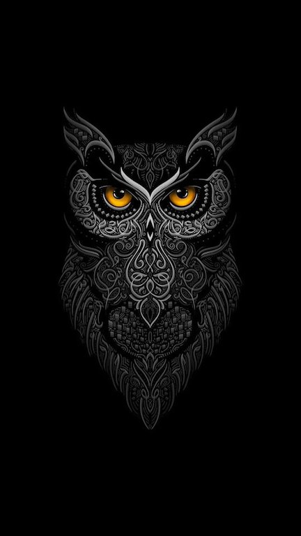 Owl black