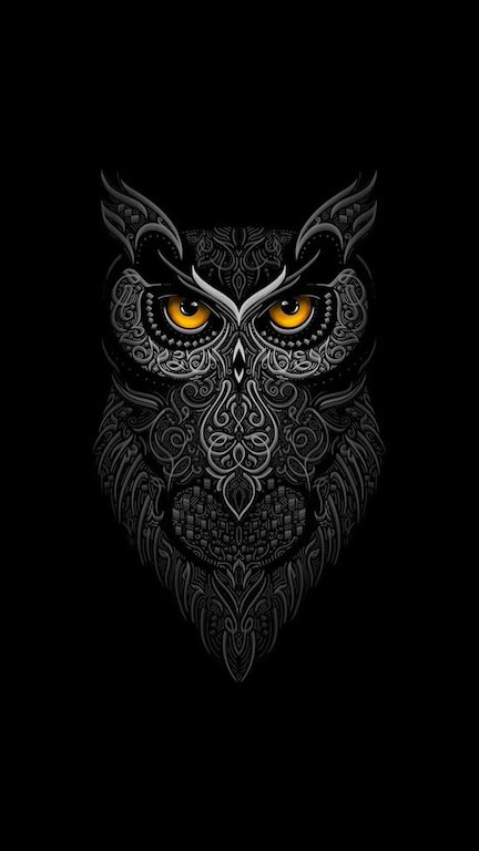 Owl black