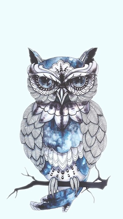 Blue owl