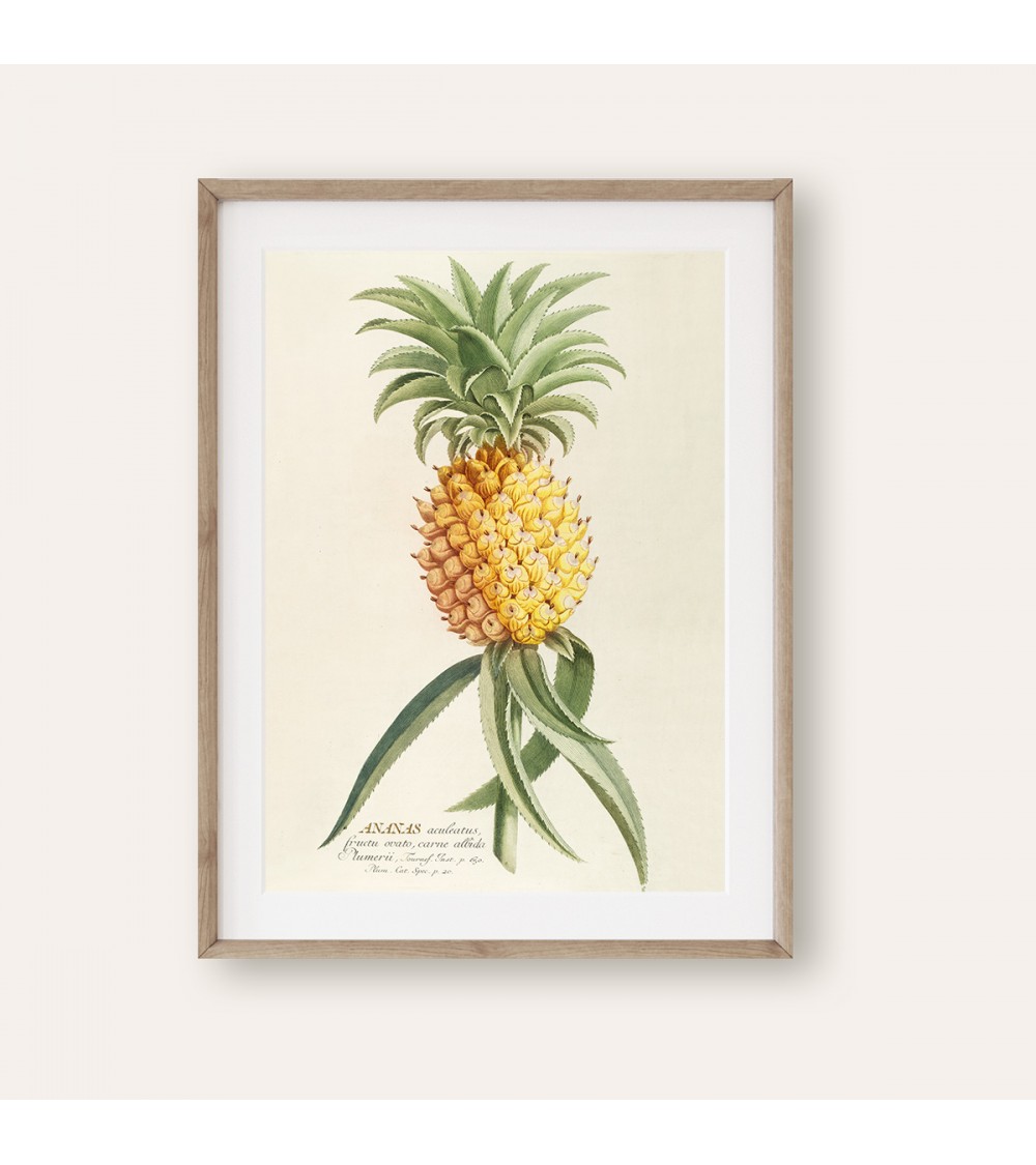 ANANAS UMETNIČKI PRINT ZA KUHINJU (ART. P-8679)