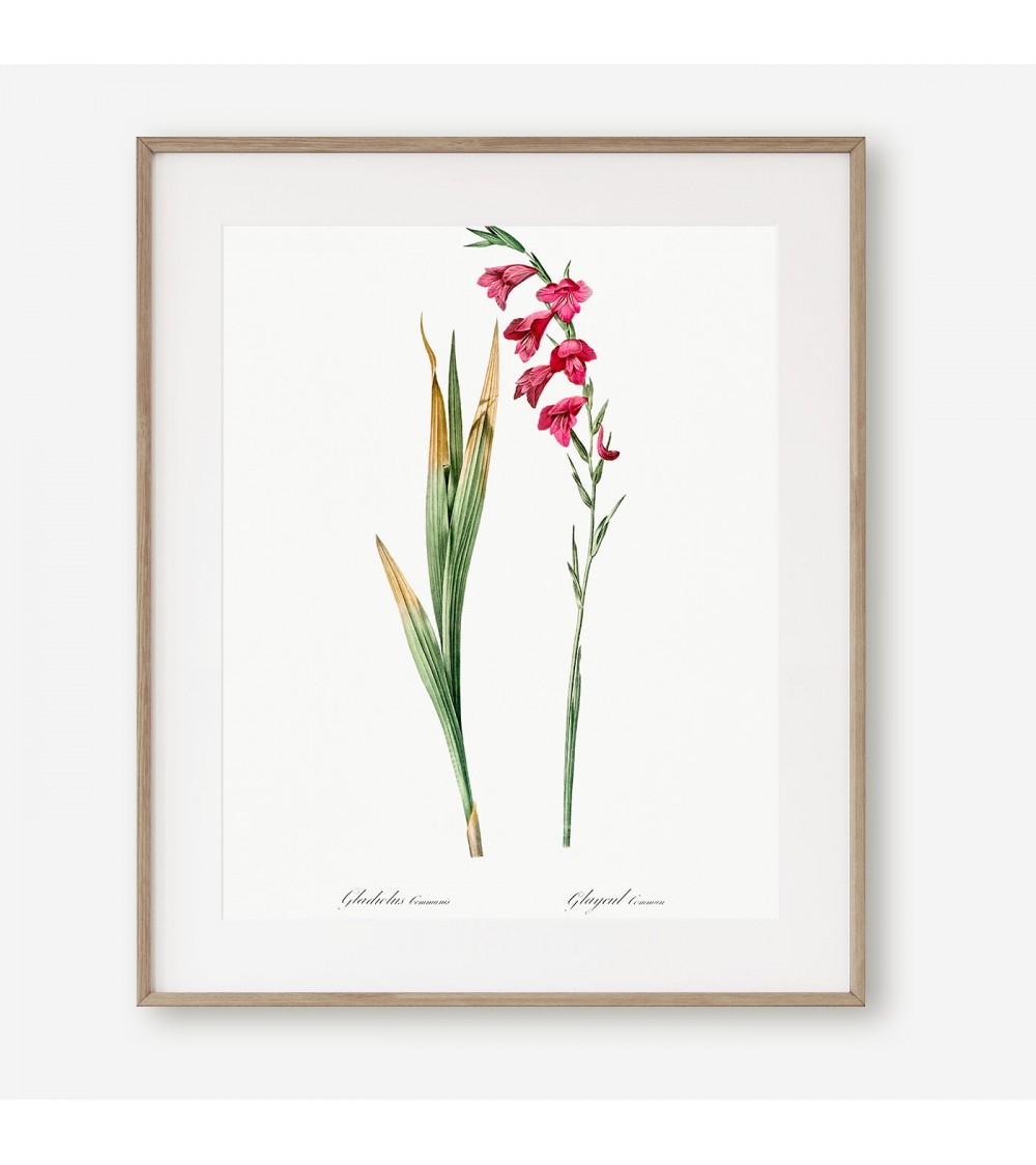 JAPANSKA GLADIOLA MONTBRECIJA ILI KROKOSMIJA ZIDNA SLIKA ZA URAMLJIVANJE (ART. P-10313)