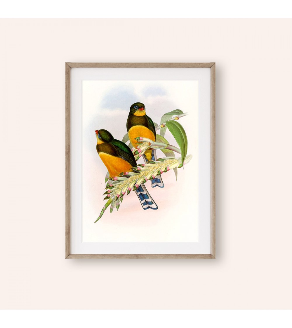 TROGON umetnički print na premium papiru (art. p-7748)