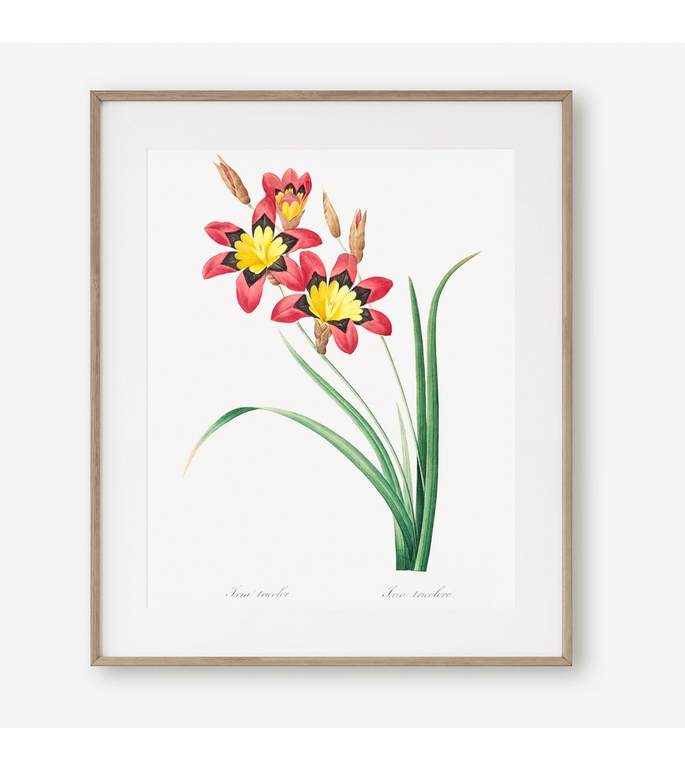 VILA CVETA LADOLEŽA (ART. P-0786) POSTER ZA DEČIJU SOBU