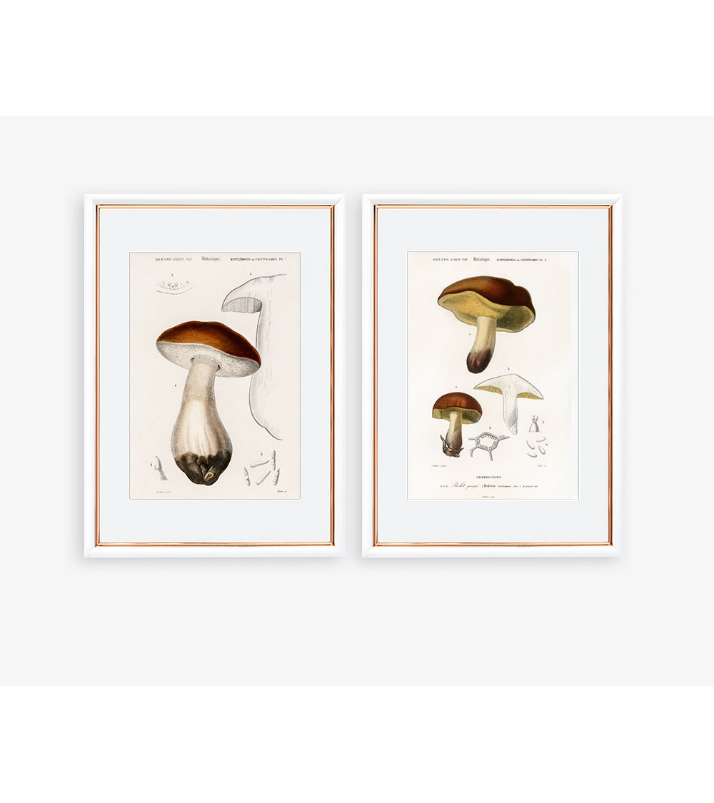 VRGANJI BOTANIČKI UMETNIČKI PRINT (ART. P-10647)