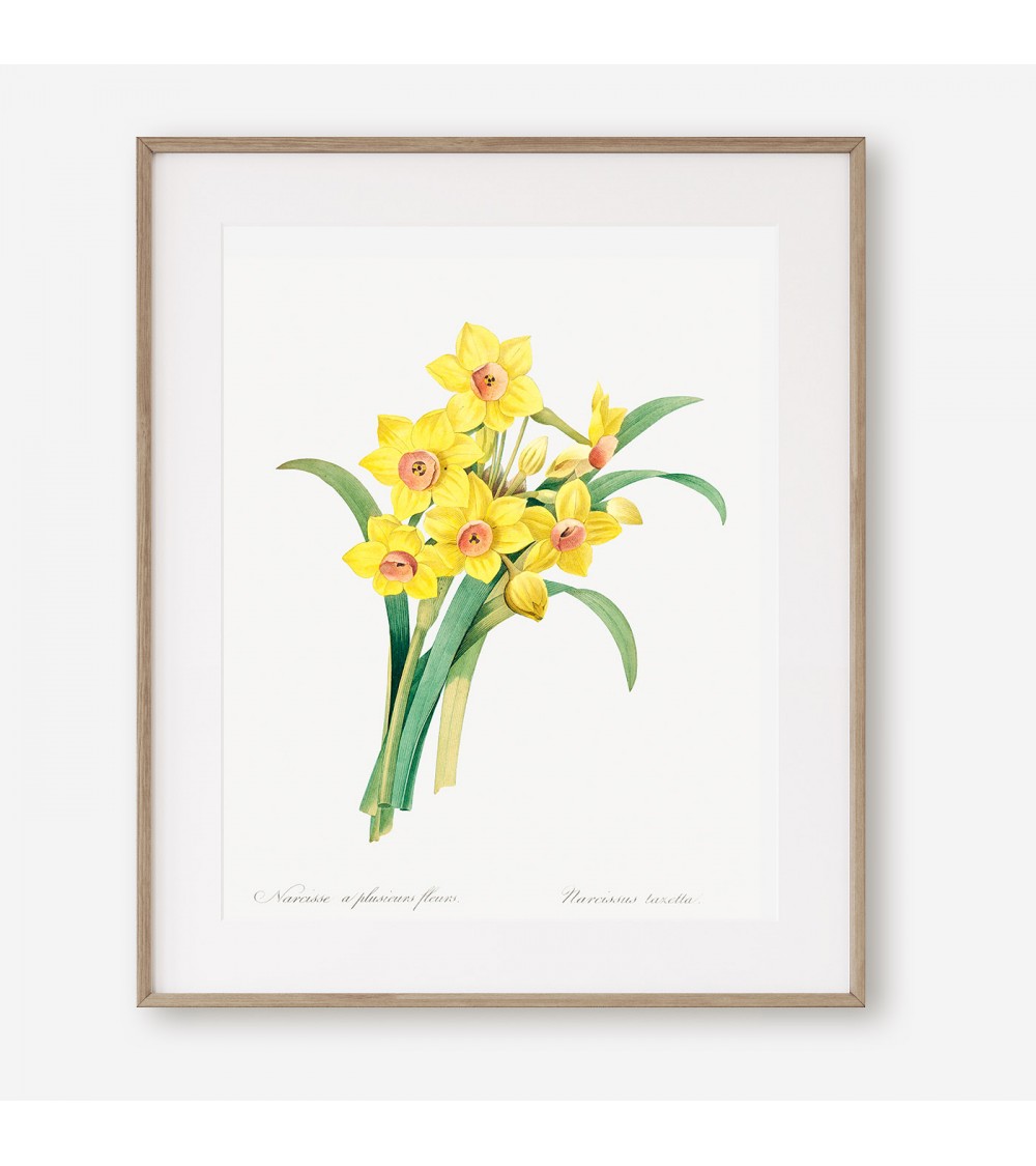 ŽUTI NARCISI UMETNIČKI PRINT ZA URAMLJIVANJE (ART. P-9636)