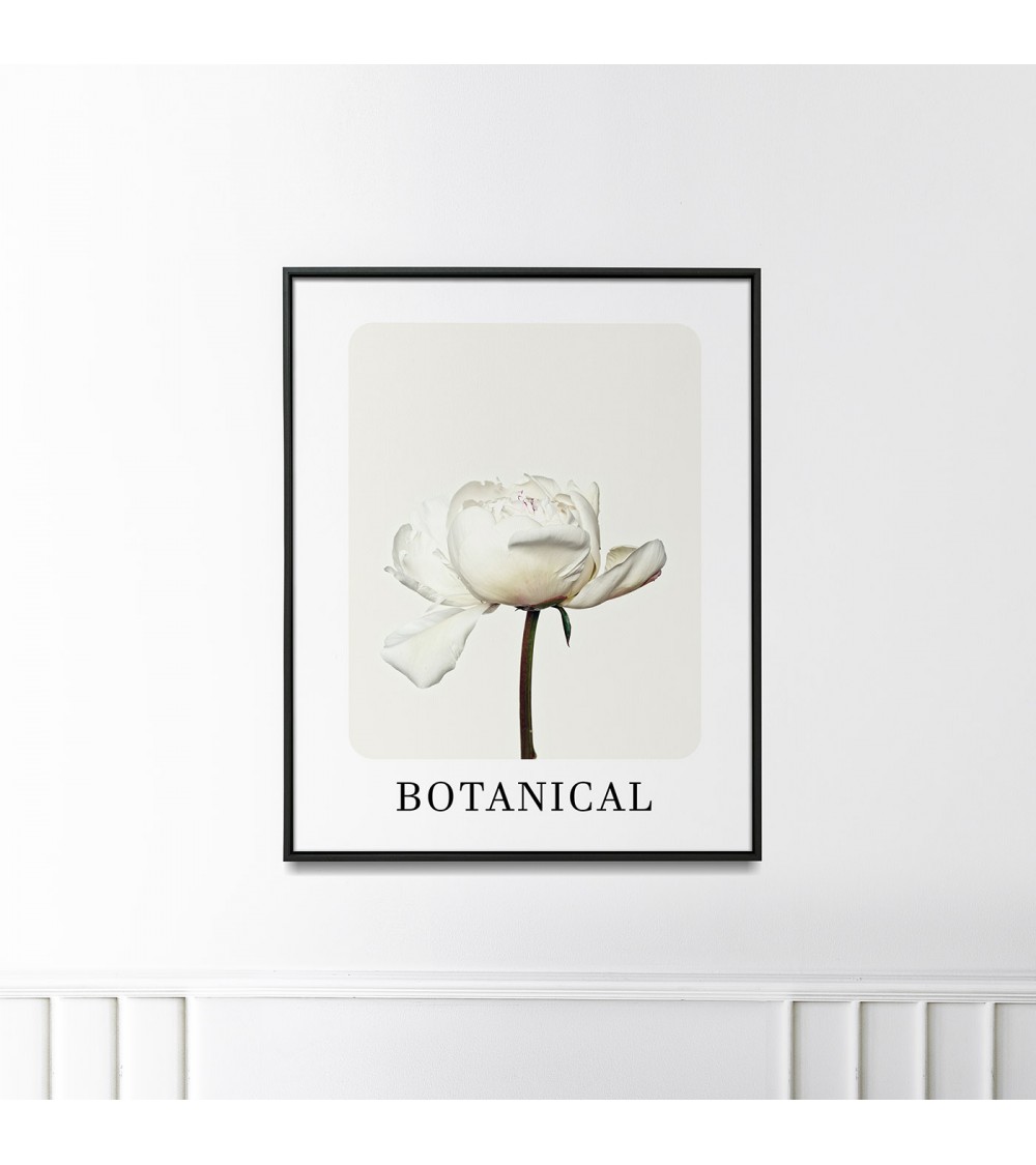 BELI BOŽUR BOTANICAL SAVREMENI FOTO POSTER ZA URAMLJIVANJE (ART. P-9509)