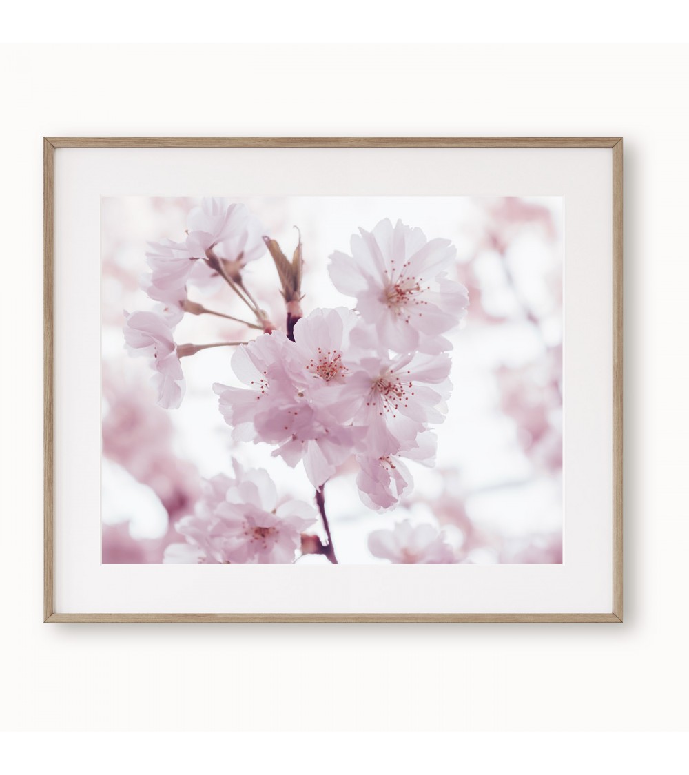 CVETNI FOTO POSTER SAKURA ZA URAMLJIVANJE (ART. P-10038)