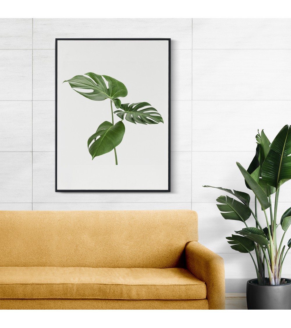 MONSTERA foto poster za uramljivanje (art. p-9146)