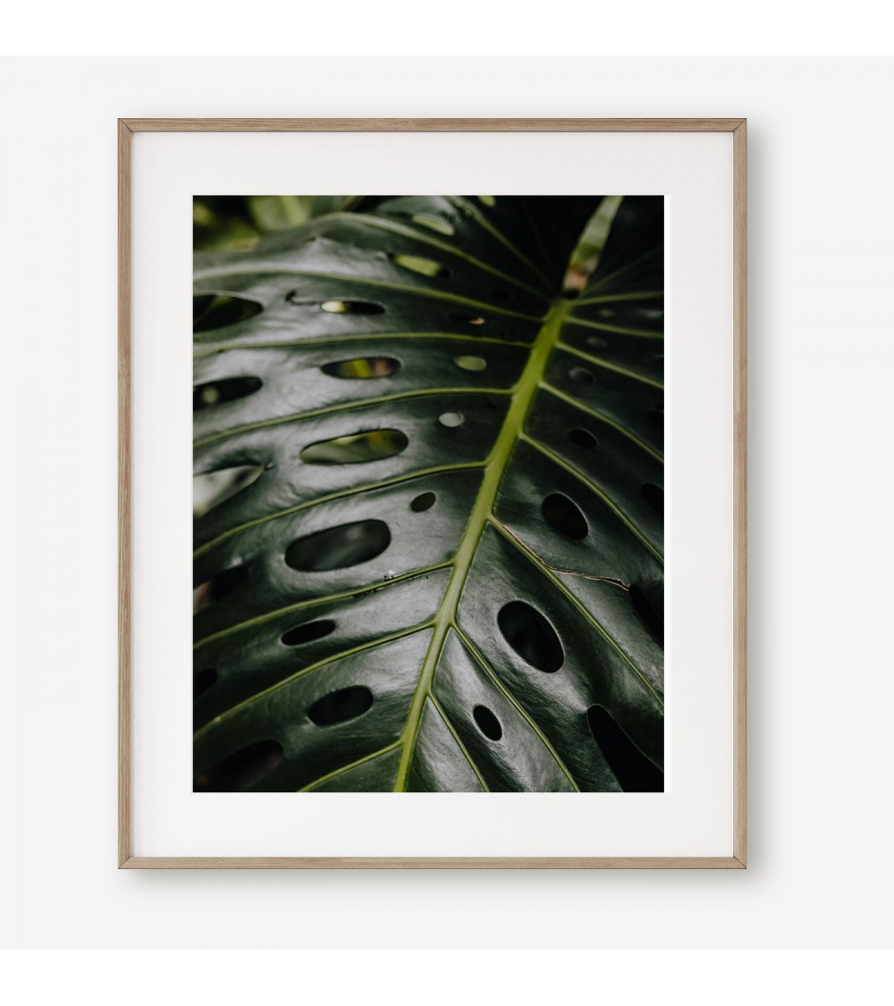 MONSTERA FOTO PRINT ZA URAMLJIVANJE (ART. P-9829)