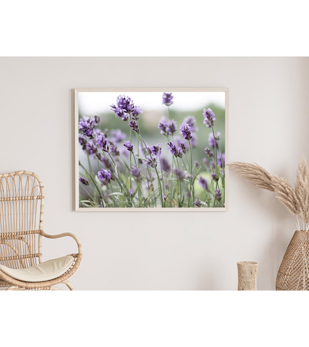 LAVANDA FOTO POSTER ZA URAMLJIVANJE (ART. P-9929)