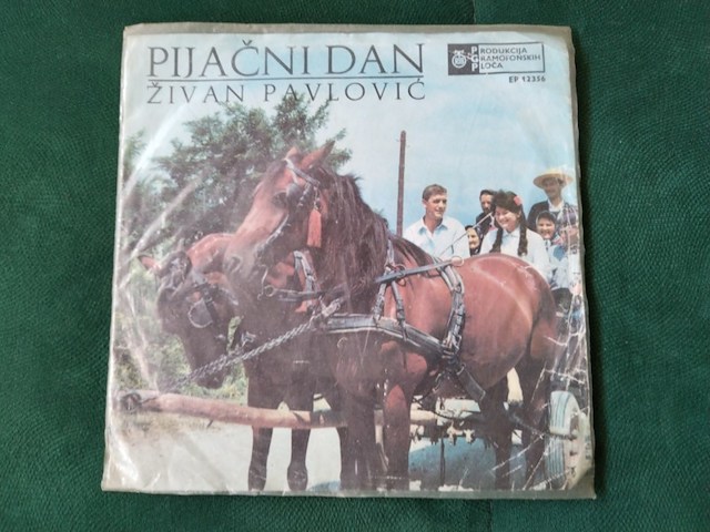 Zivan Pavlovic - Pijacni dan