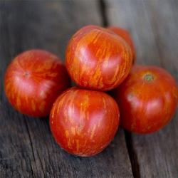 Tigrasti paradajz - Tigerella (25 semenki)