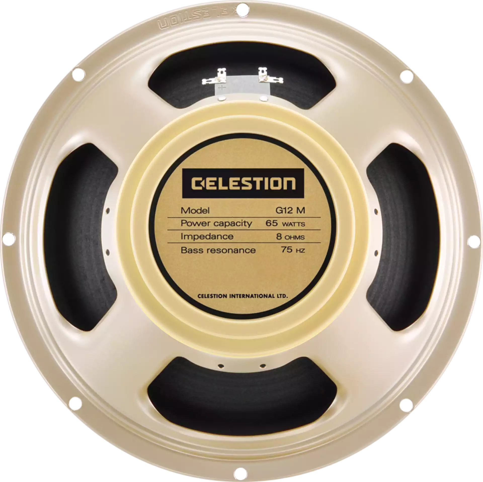 CELESTION G12M-65 CREAMBACK 8