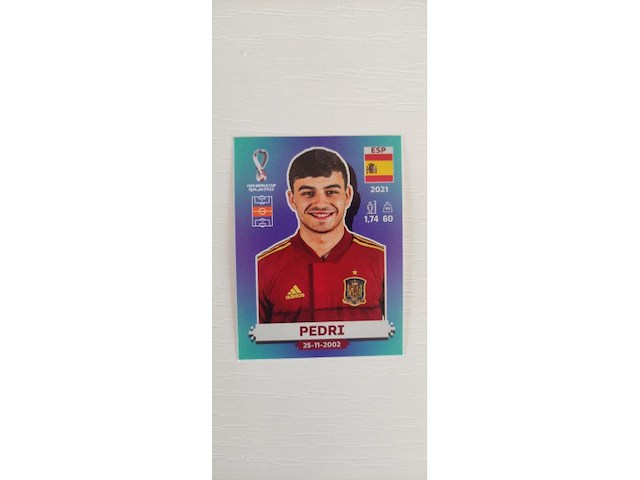 Panini FIFA 2022 international Qatar ESP13