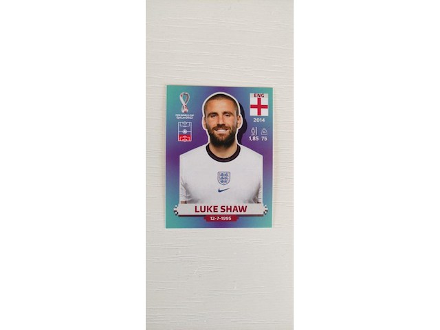 Panini FIFA 2022 international Qatar ENG08