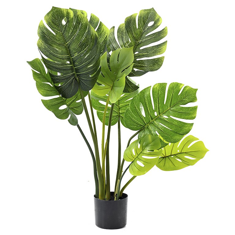 VEŠTAČKA MONSTERA
80884 VEŠTAČKA MONSTERA 60 CM
Šifra proizvoda: 0110704