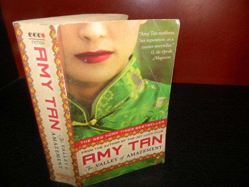 The Valley of Amazement, Amy Tan