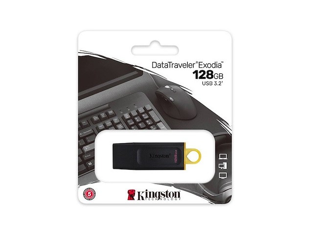 USB flash Kingston 128GB V3.2