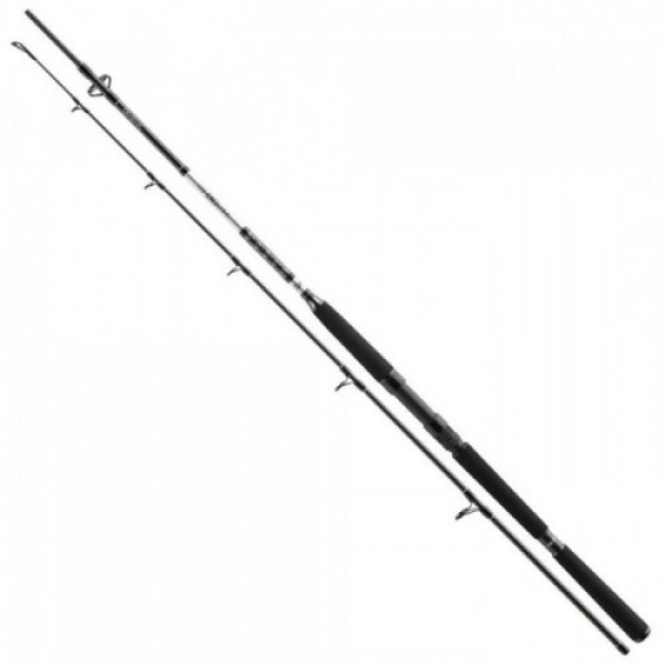 Stap Daiwa BG Pilk 2.40m 40-125g 11928-240