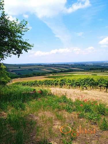 Vinograd Banoštor 7100m2 HITNO!